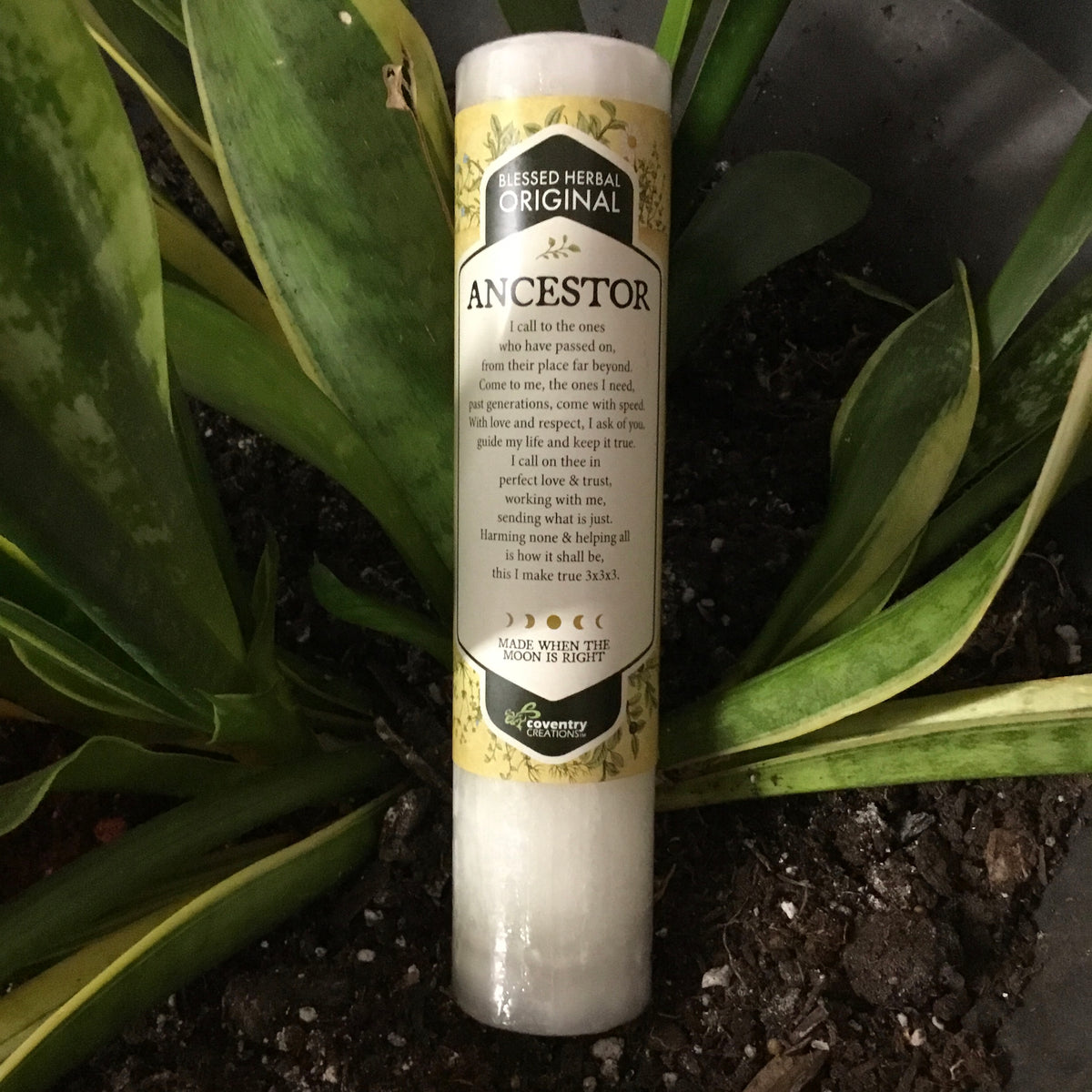 Ancestor Affirmation Candle (Ancestor, Wisdom, Guidance, Protection ...