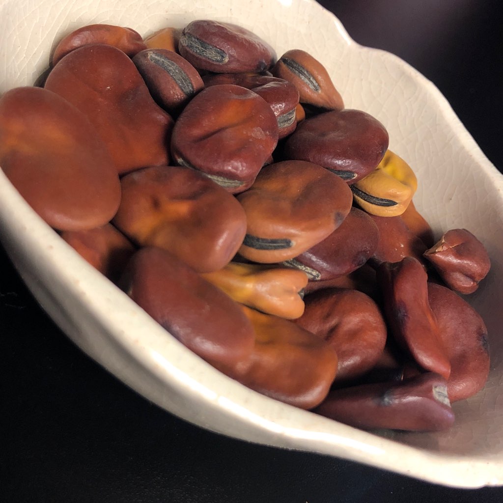 Mojo Beans (Luck, Wishes) – The Divine Key by Michelle L Fultz