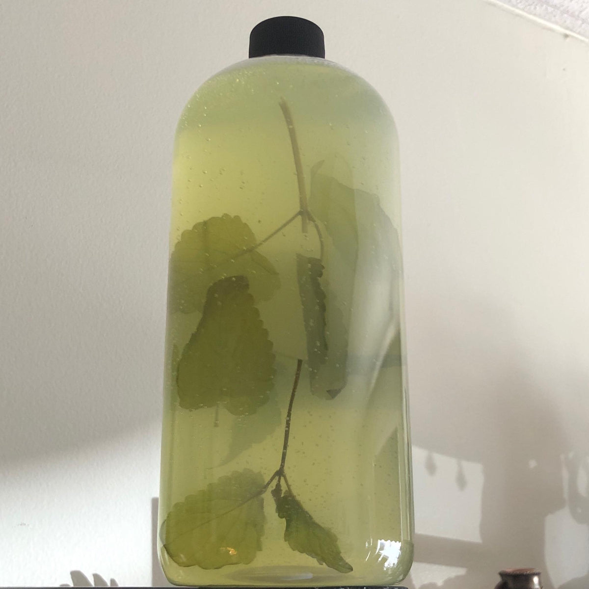 Hyssop Holy Spirit Wash (Uplifts, Removes Negativity, Protection) – The ...